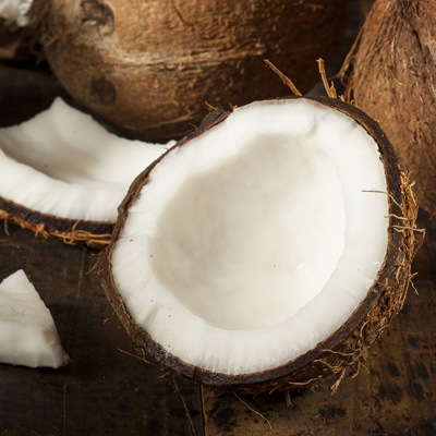 Coconut Pulp CO2 - Organic | Eden Botanicals