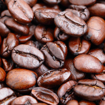 Coffee Bean Sample (1 ml) | Eden Botanicals