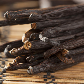 Vanilla Absolute for Natural Perfumery