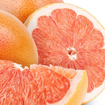 Grapefruit - Organic Sample (1 ml) | Eden Botanicals