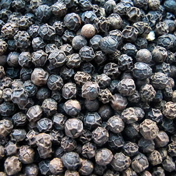 Pepper, Black - Organic EO | Eden Botanicals