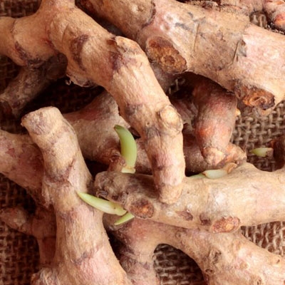 Plai EO | Eden Botanicals